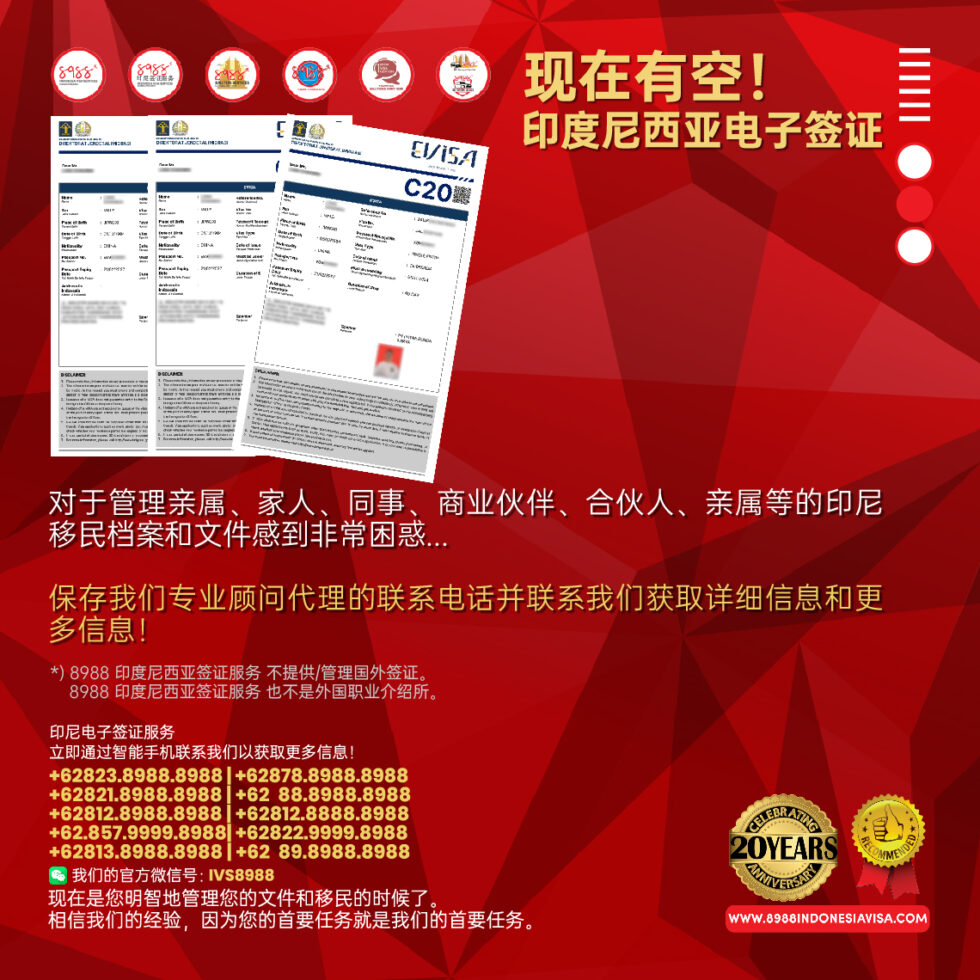 INDONESIA E-VISA C20 - 8988 Indonesia Visa Services